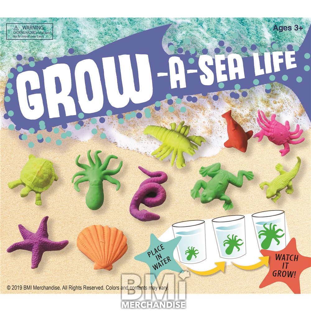 25 POINT - 250PC MODULAR CAPSULE KIT